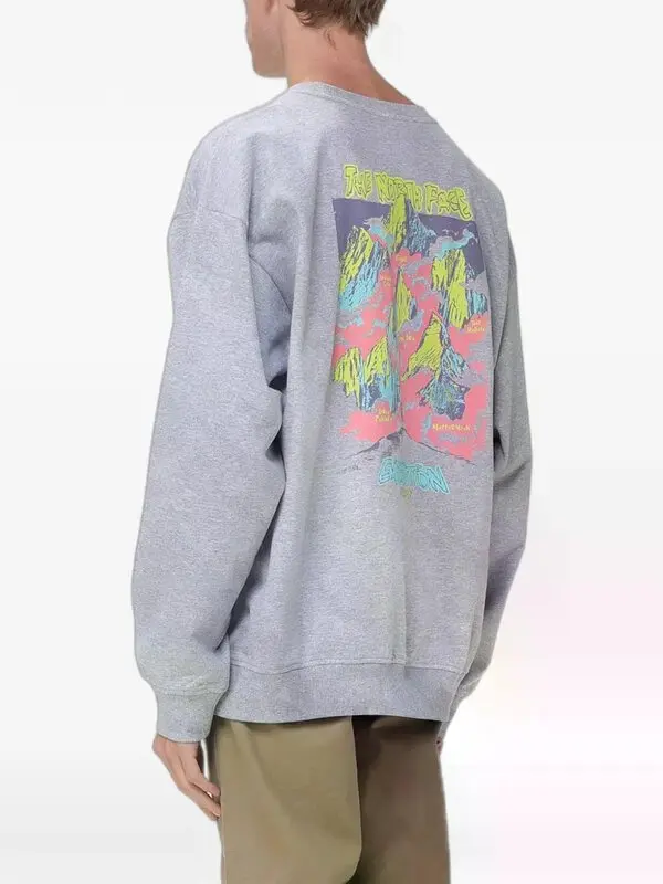 The North Face Graphic Print Cotton Sweater