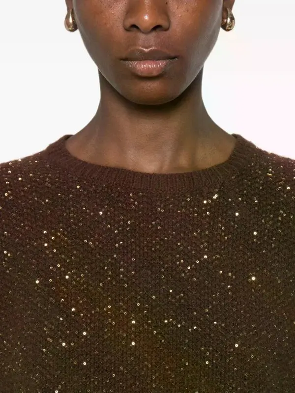 Fabiana Filippi Sequin-embellished Short-sleeve Sweater - Brown