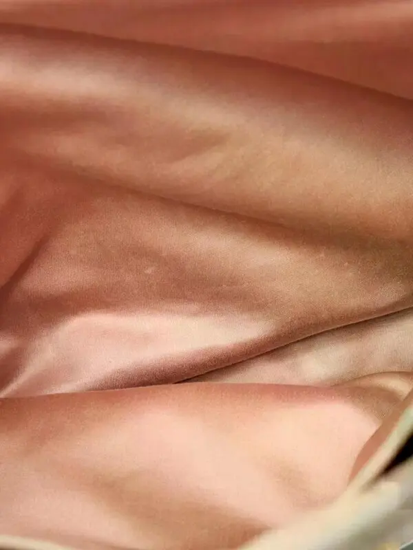 Miu Miu 2000s Vitello Caribu Tote Bag
