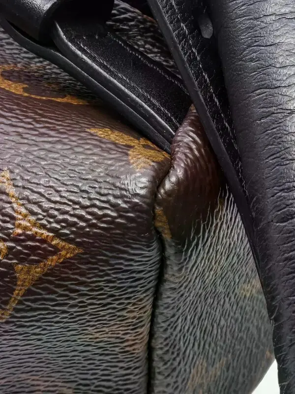 LOUIS VUITTON 2019 Pm Palm Springs Backpack