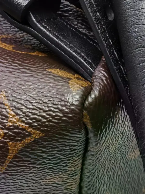 LOUIS VUITTON Palm Springs Pm Backpack