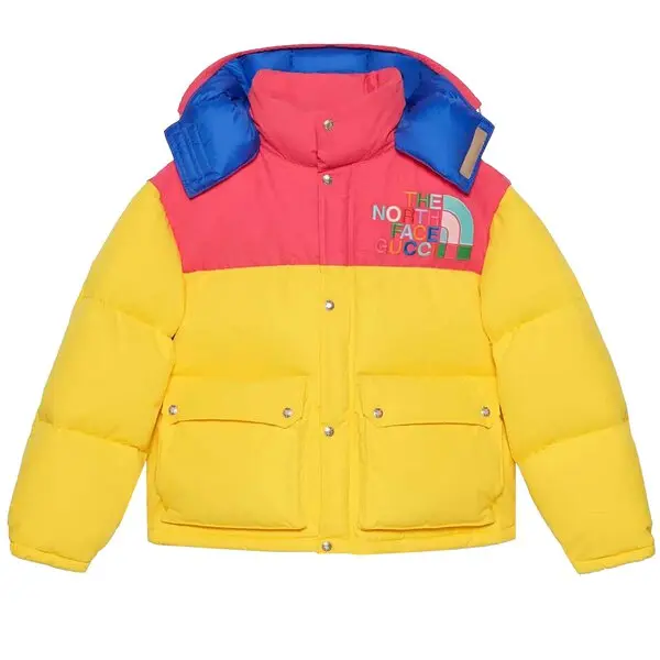 Gucci X The North Face Down Jacket /multicolor