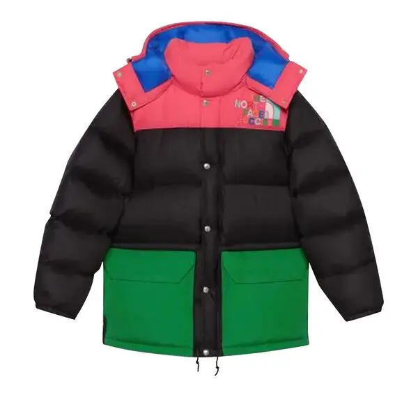 Gucci X The North Face Down Jacket /multicolor