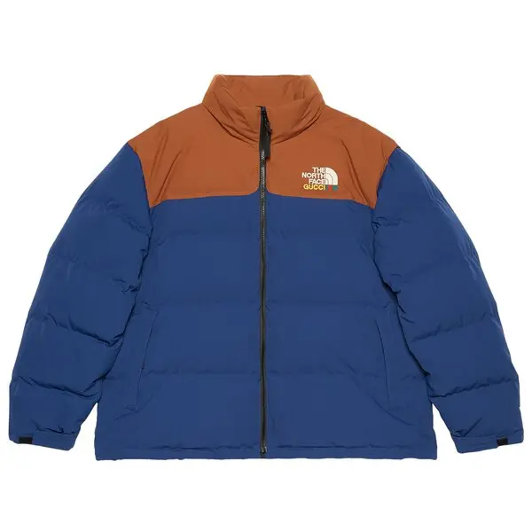 Gucci X The North Face Down Jacket /brown