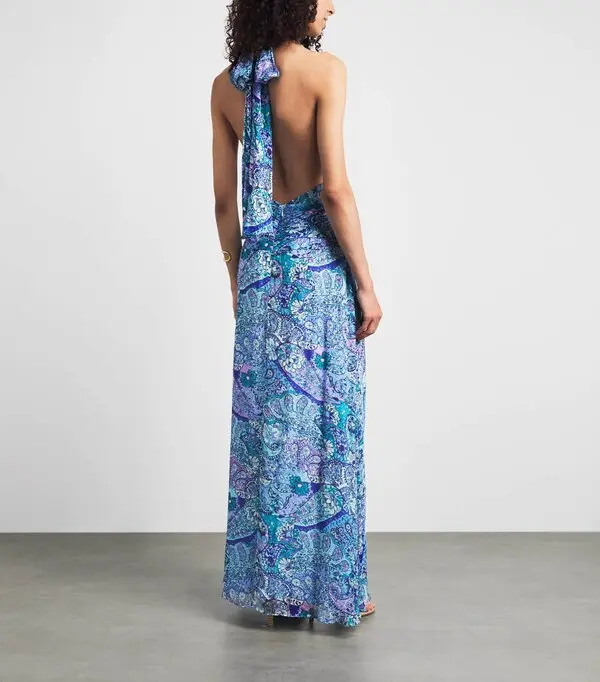 Rixo Chiffon Alaina Maxi Dress