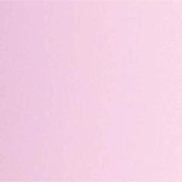 ASOBU Bestie Flamingo Water Bottle