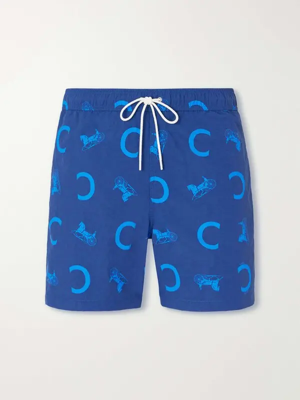 Celine Straight-leg Mid-length Printed Swim Shorts