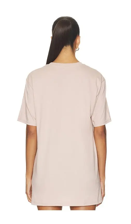 SENDERO PROVISIONS CO. Rowdy Tee In Brown