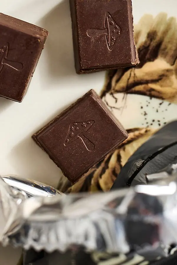 TERRAIN Alice Nightcap Mushroom Chocolate