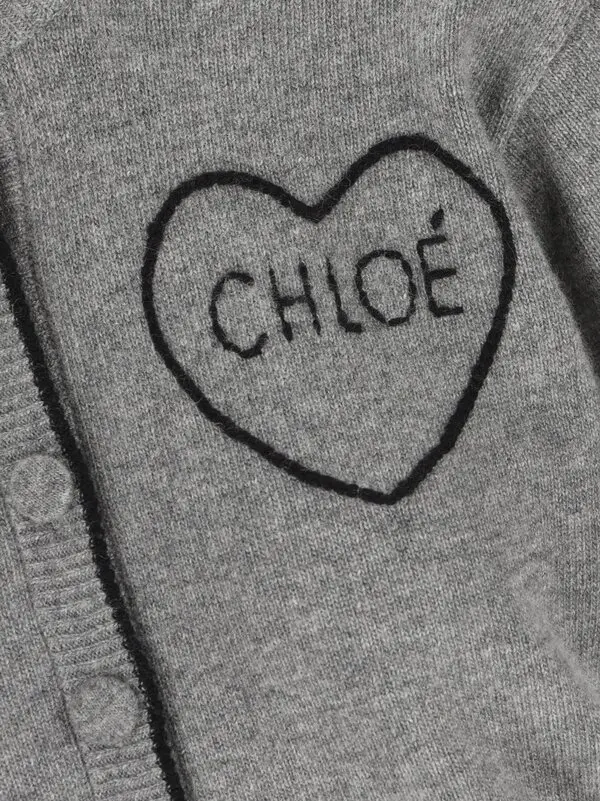Chloé Crew Neck Long-sleeved Knitwear