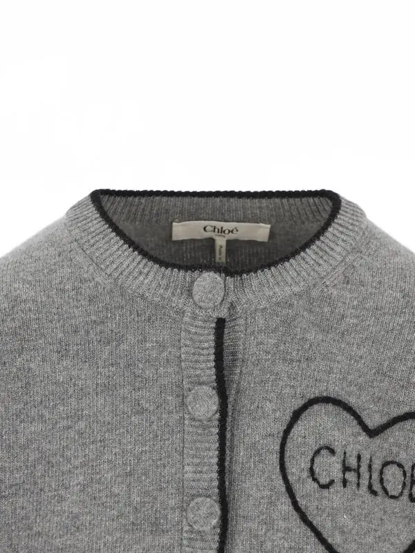 Chloé Crew Neck Long-sleeved Knitwear