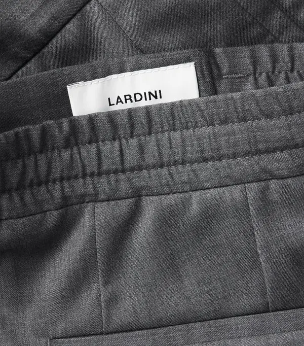 LARDINI Virgin Wool Drawstring Straight Trousers