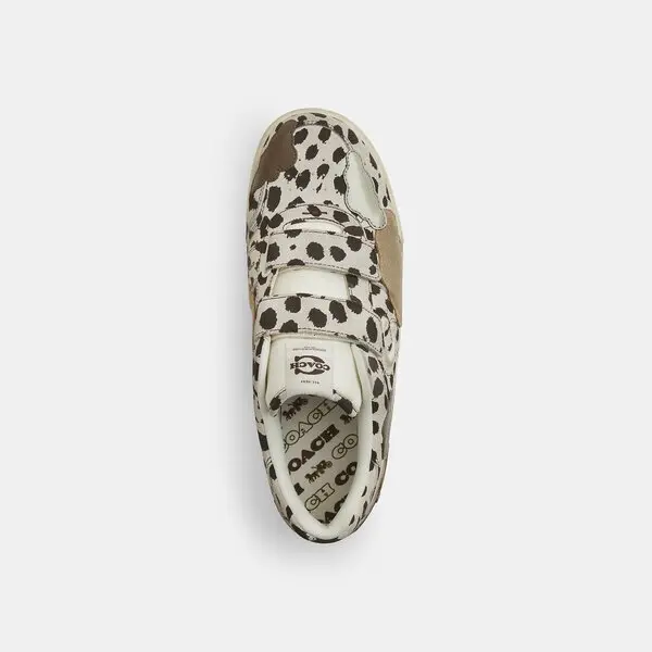 COACH OUTLET Double Strap Soho Sneaker With Clouds