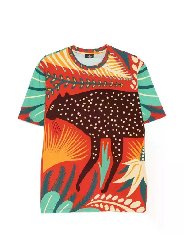 Etro Graphic Print Short Sleeve T-shirt