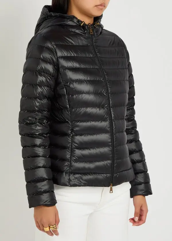 Moncler Padded Hooded Nylon Jacket - Black