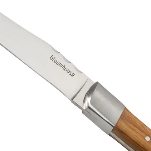 BLOOMHOUSE German Stainless Steel Steak Knife Setolive Wood Handle Steak Knives