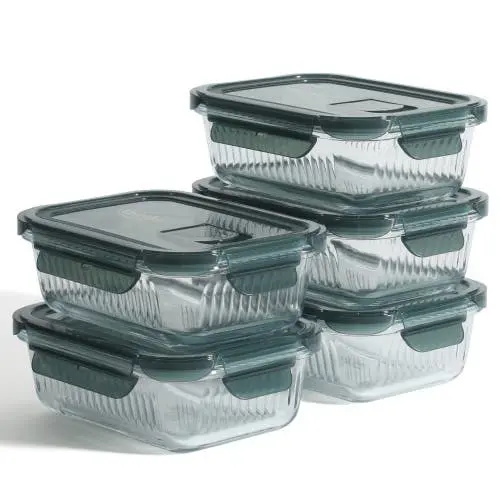 MARTHA STEWART Shadowbrook 10-piece Borosilicate Glass Airtight Food Storage Container Set - Multicolor
