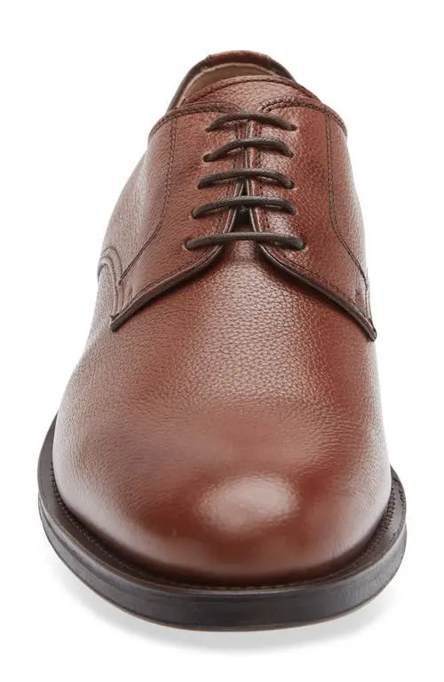 Gentle Souls Castelo Plain Toe Derby