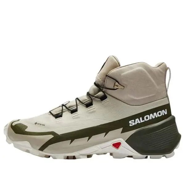 SALOMON Cross Hike Mid Gtx 2 - Gray/green