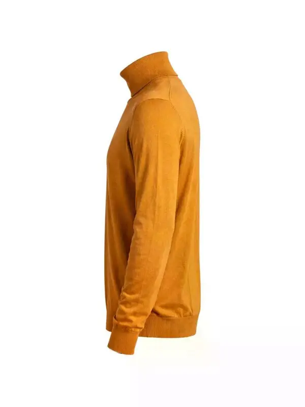 Pal Zileri Fine Knit Roll-neck Sweater