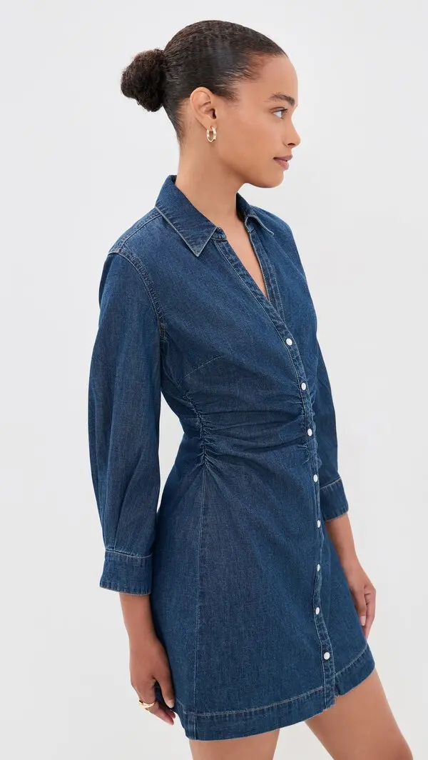 Veronica Beard Maura Dress