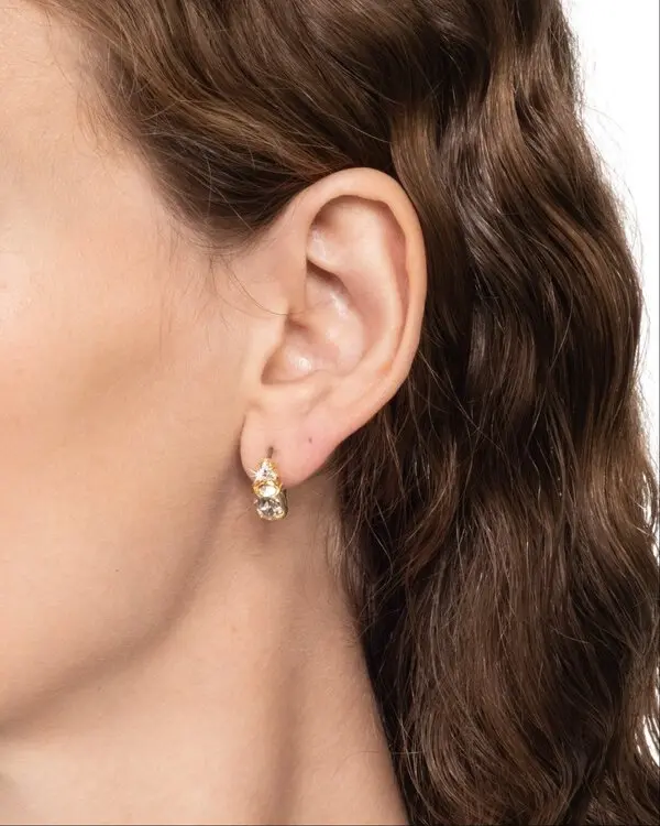Alexis Bittar Clat Crystal Petite Leverback Earrings