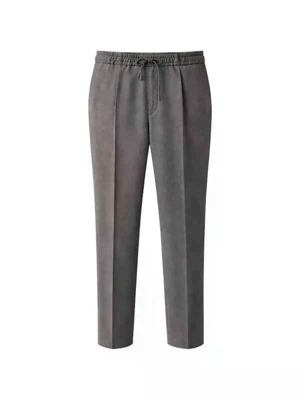 Pal Zileri Drawstring-waistband Pleated Trousers - Brown