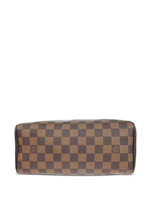LOUIS VUITTON Damier Brera Handbag - Brown