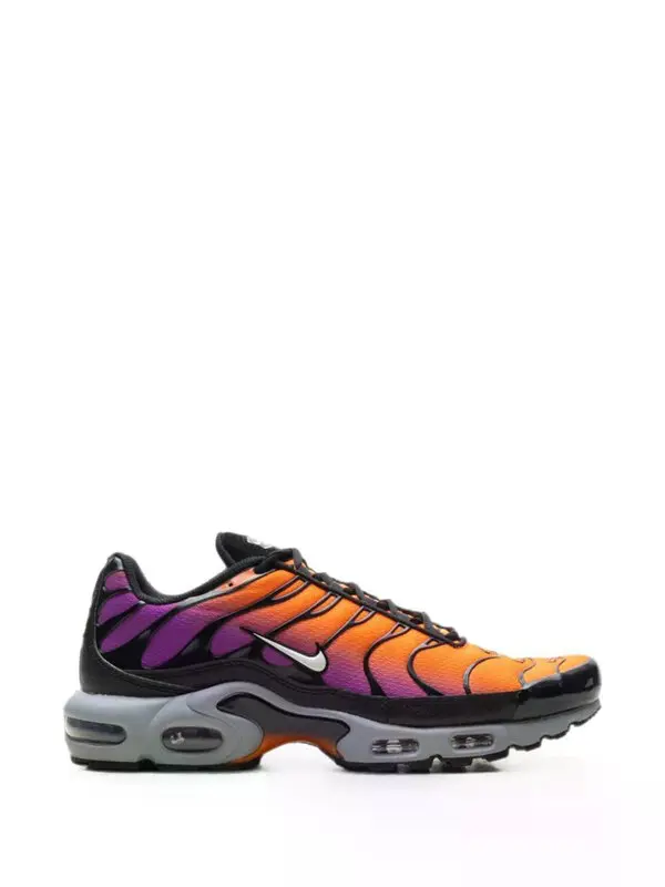 Nike Air Max Plus Sneakers