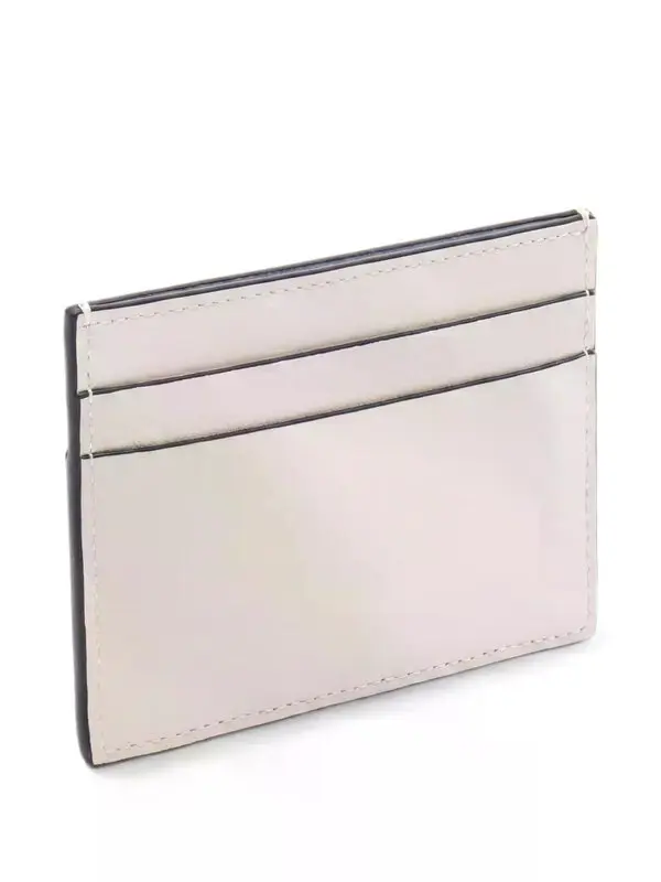 Loewe 2020s Futurist Cat Card Case - Neutrals