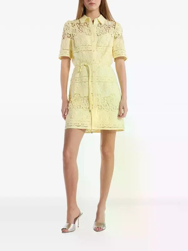 CHRISTY LYNN Valencia Lace-embroidered Mini Dress