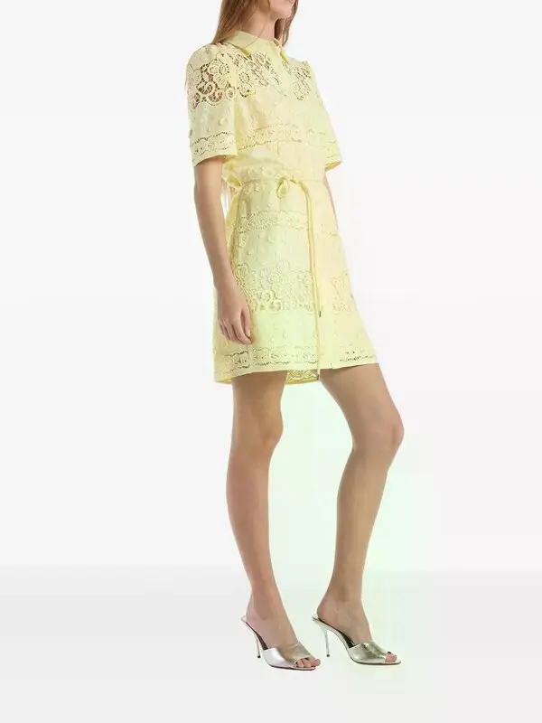 CHRISTY LYNN Valencia Lace-embroidered Mini Dress