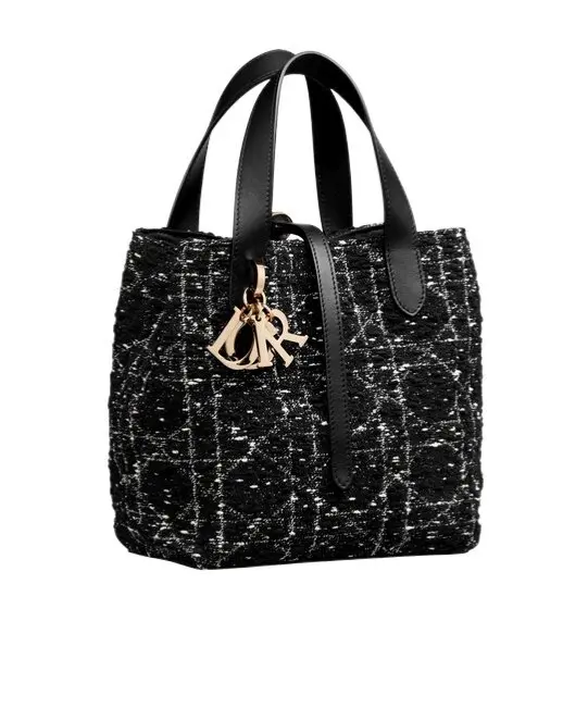 Dior Small Toujours Vertical Tote Bag