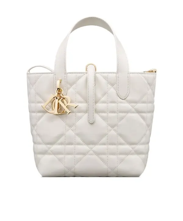 Dior Small Toujours Vertical Tote Bag