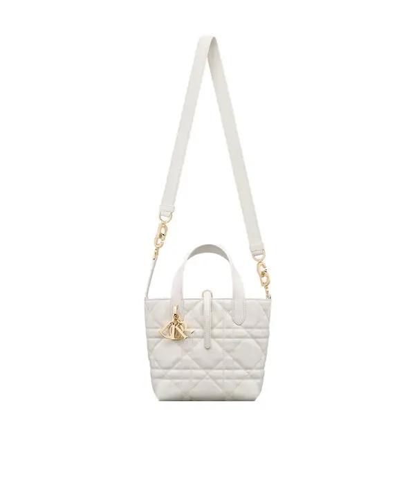 Dior Small Toujours Vertical Tote Bag