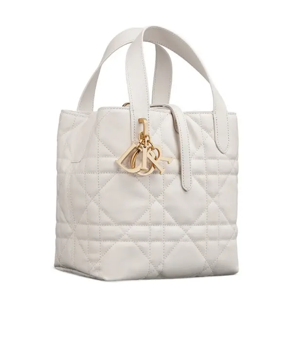 Dior Small Toujours Vertical Tote Bag