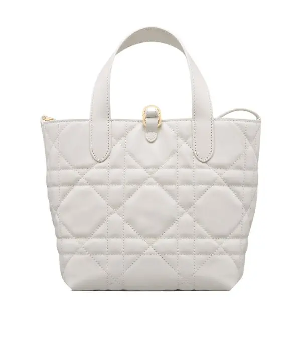 Dior Small Toujours Vertical Tote Bag