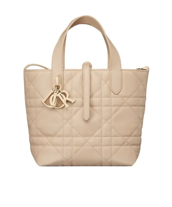 Dior Small Toujours Vertical Tote Bag