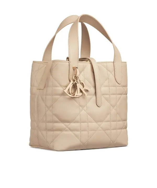 Dior Small Toujours Vertical Tote Bag