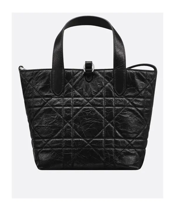 Dior Small Toujours Vertical Tote Bag