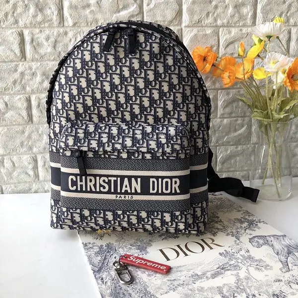 Dior Diortravel Backpack