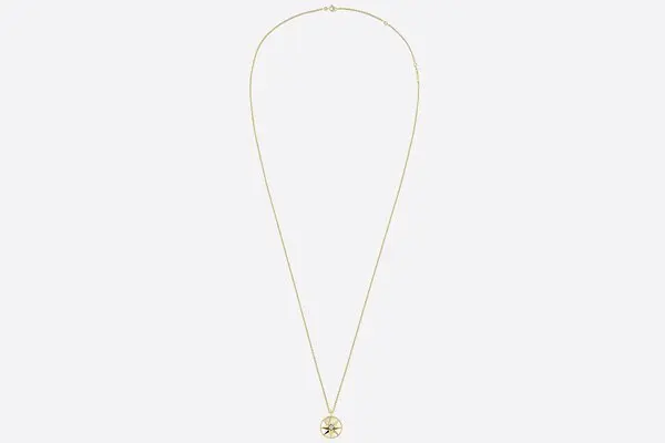 Dior Medium Rose Des Vents Medallion