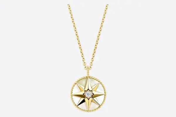 Dior Medium Rose Des Vents Medallion