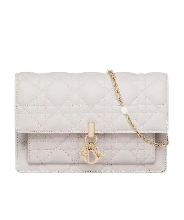 Dior Logo Shoulder Bag