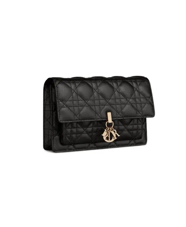 Dior Lady Chain Handbag