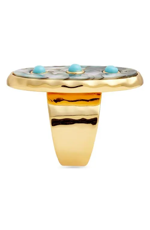 Nest Jewelry Abalone And Turquoise Studded Adjustable Ring