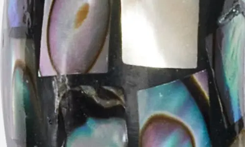 Nest Jewelry Abalone Chunky Hoop Earrings