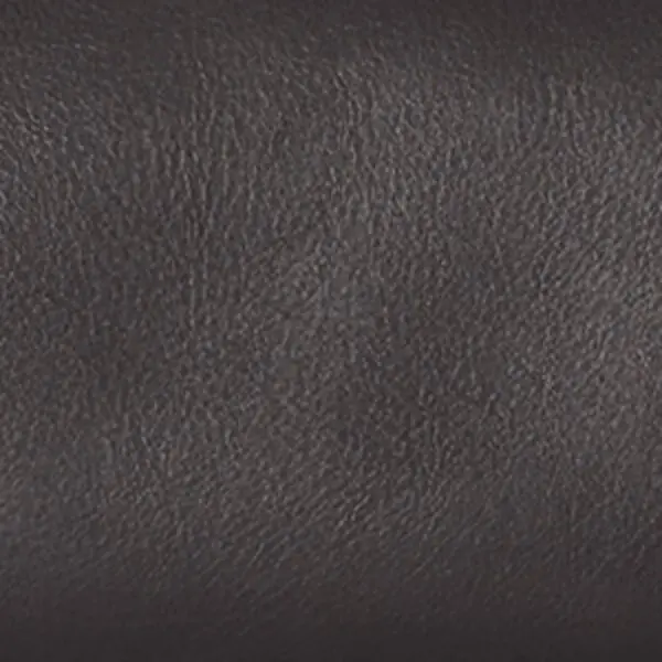 THE ROW 90s Leather Cross-body Bag