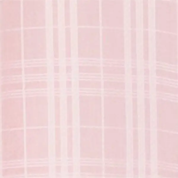 Burberry Cotton Check Shirt