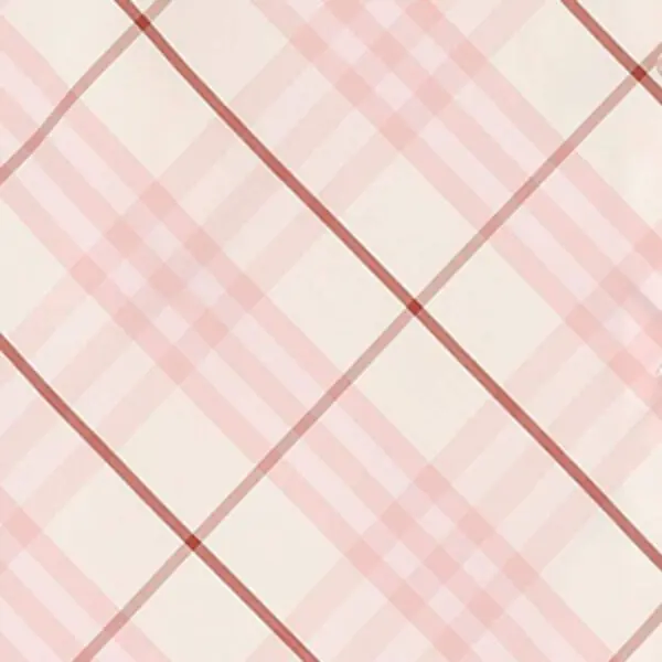 Burberry Cotton Check Shirt